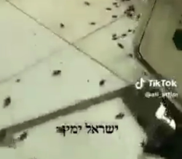 ΜΕΚΚΑ ΣΑΟΥΔΙΚΗ ΑΡΑΒΙΑ _Στον τάφο του Μωάμεθ στη Μεδίνα, ορδές από ...