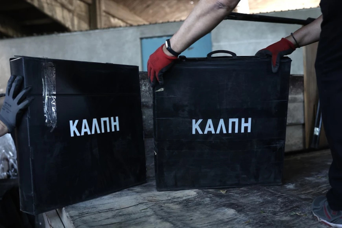 Καταλάβατε τώρα το κάλπικο της κάλπης; Τι ακολουθεί. - Triklopodia