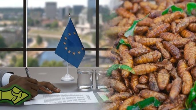 H EE ΕΝΕΚΡΙΝΕ ΑΠΟ ΤΙΣ 10 ΦΕΒΡΟΥΑΡΙΟΥ ΤΗ ΣΚΟΝΗ ΑΛΕΥΡΟΣΚΟΥΛΗΚΑ ΣΤΑ ...