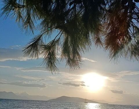 Δρ. Κ. Βαρδάκας: οι τρεις τελευταίες συγκλονιστικές μέρες του Νοεμβρίου ...